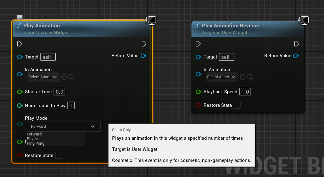【UE5】 Play Animation